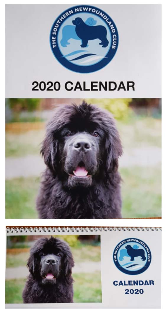 Homepage [southernnewfoundlandclub.co.uk]