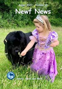 Homepage [southernnewfoundlandclub.co.uk]